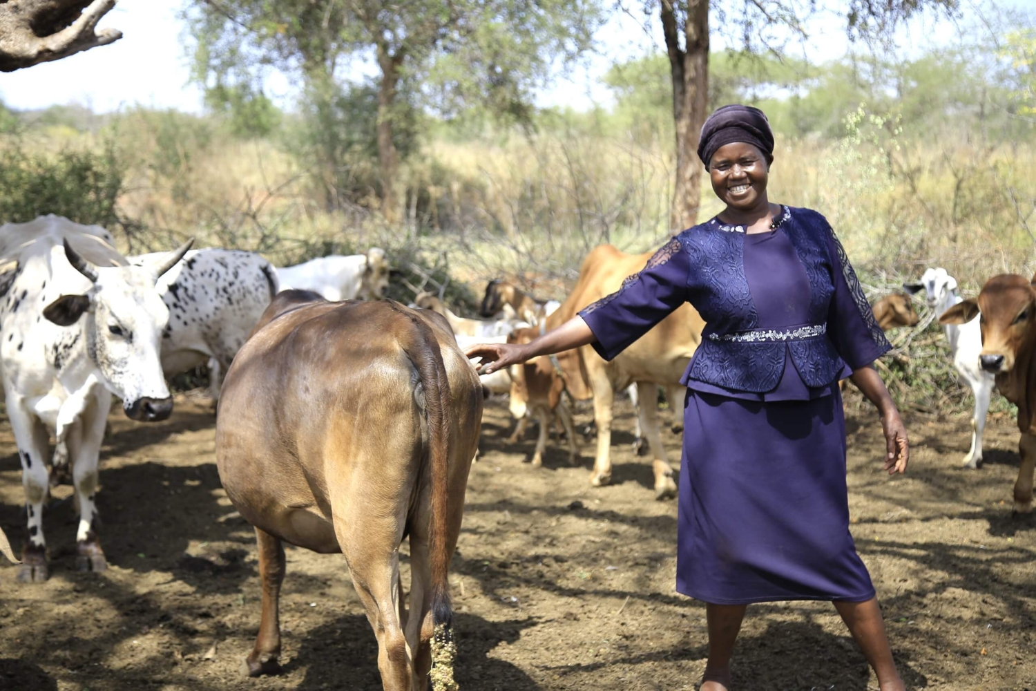 ASARECA – Transforming Agriculture For Improved Livehoods